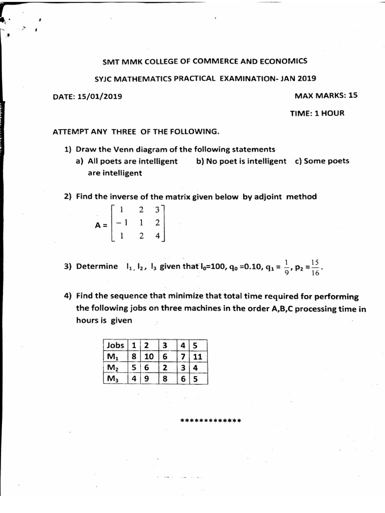 Mathematics Practical Exam Commerce | PDF