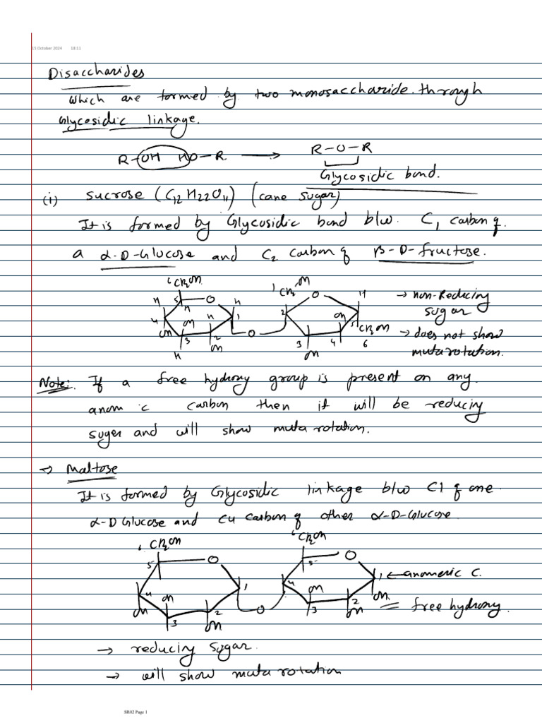 SR02 Biomolecule L2 | PDF