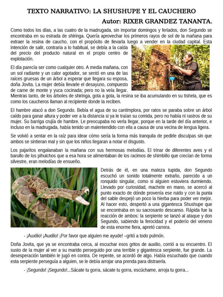 Encuentro con la Shushupe en la Selva | PDF