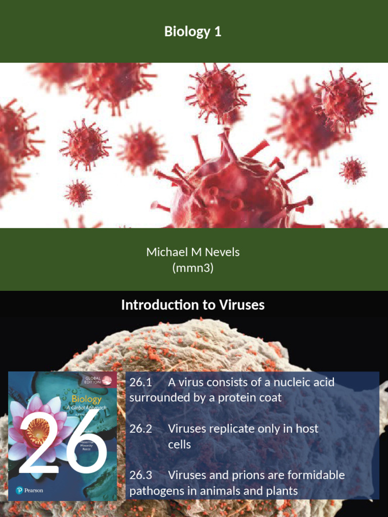 L32 Nevels Introduction To Viruses | PDF | Virus | Bacteriophage
