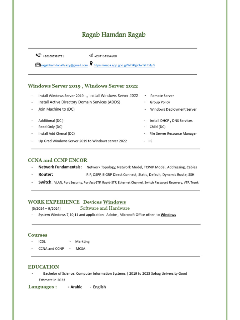 Ragab CV | PDF