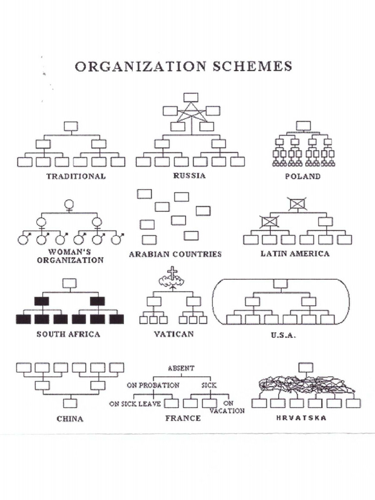 Organization Schemes | PDF