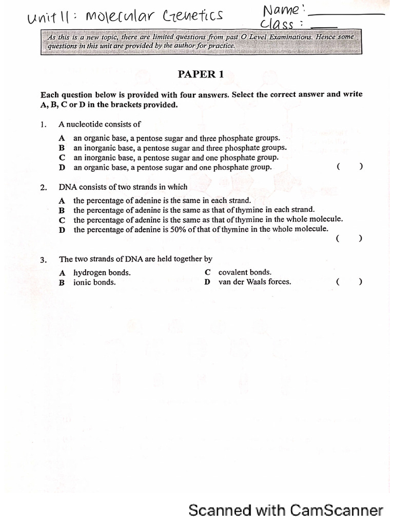 Molecular genetics old tys | PDF