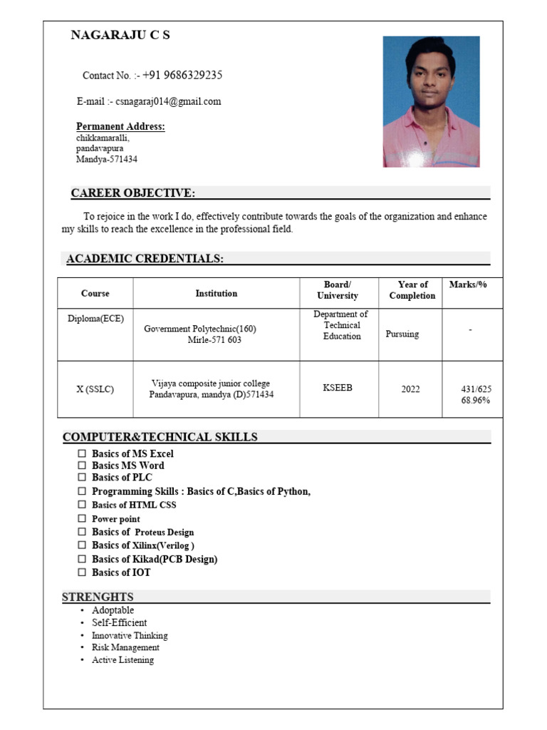 Nagaraju C S: Career Objective | PDF