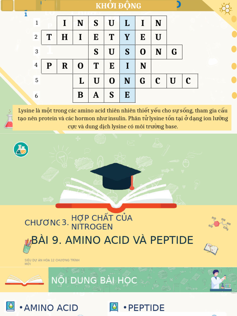 09-KNTT-Bài 9-Amino Acid Và Peptide Sách KNTT - Nguyễn Thị Thu Thủy | PDF