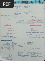 Cockroach Ncert | PDF