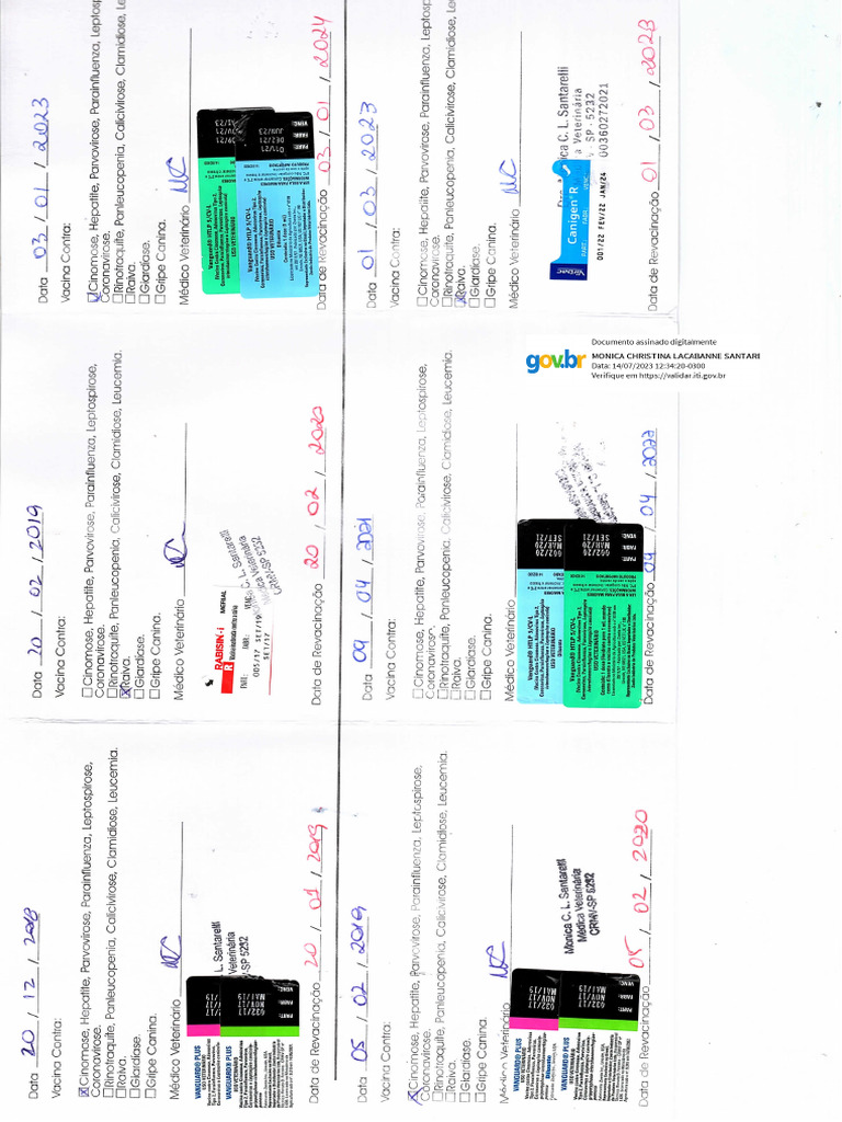 Ash - Cart Vac Detalhes Assinado | PDF