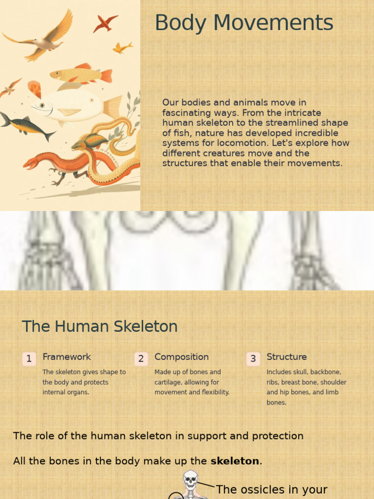 Body Movements | PDF | Skeleton | Vertebral Column