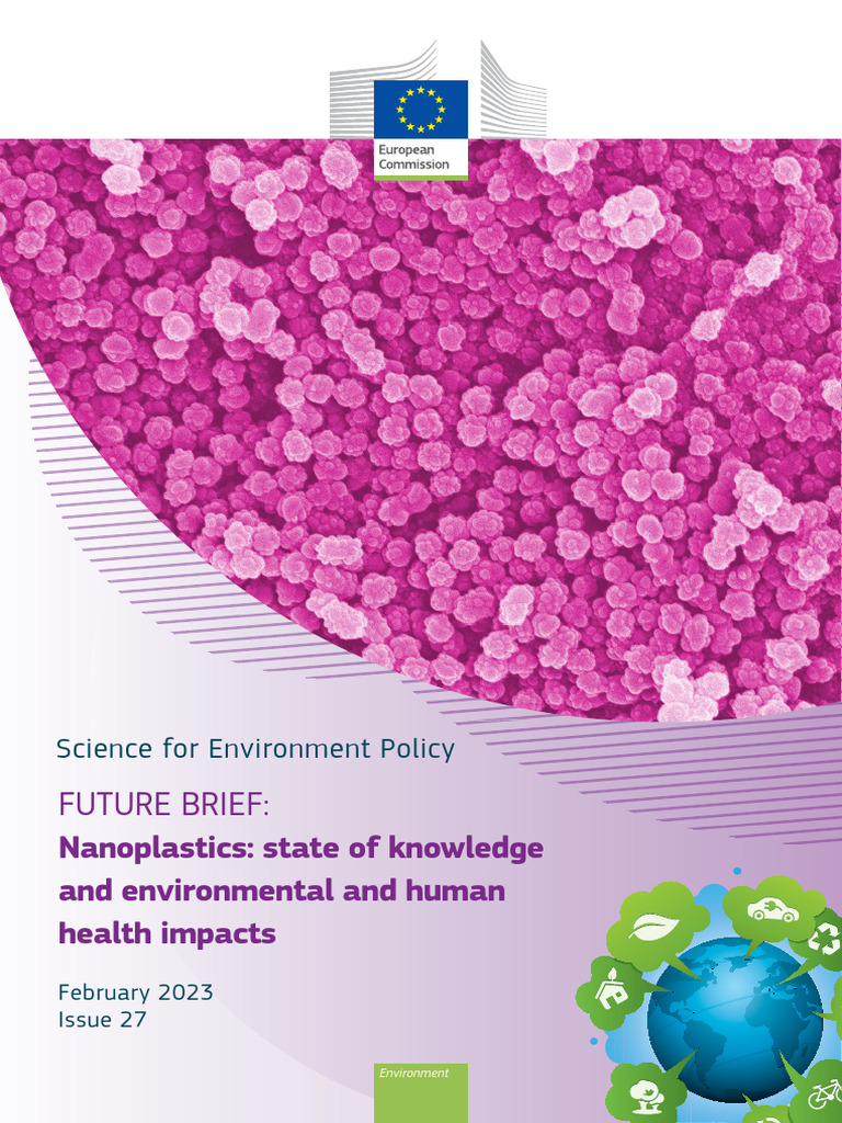 Nanoplastics KHBB22001ENN | PDF | Plastic | Polymers
