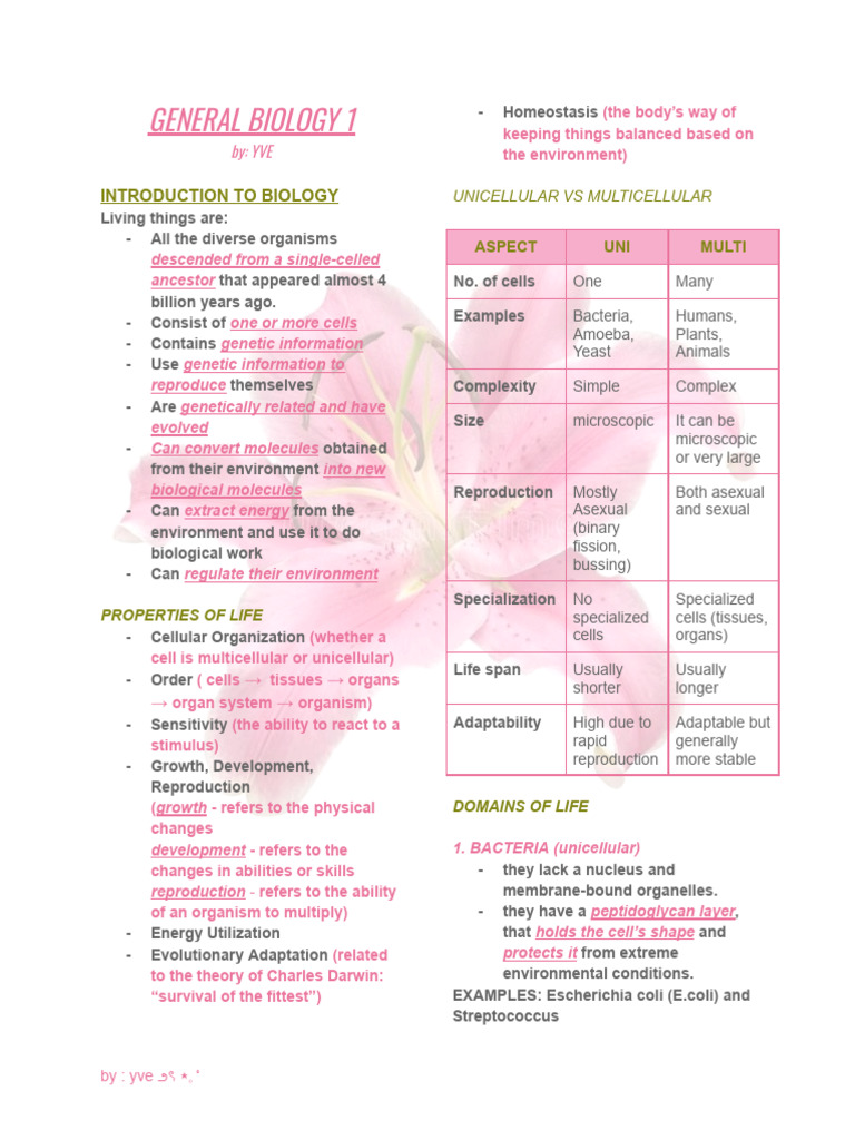 genbio ౨ৎ | PDF | Endoplasmic Reticulum | Cell (Biology)