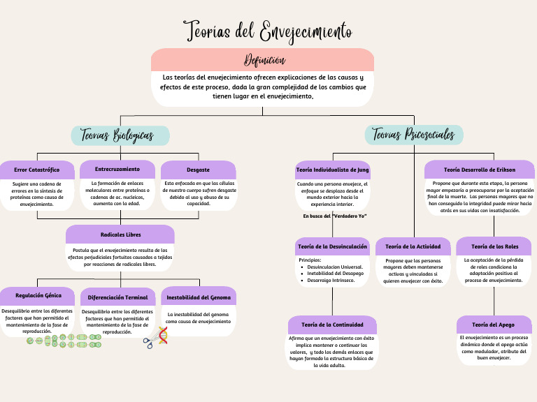 Mapa Conceptual Teorías Del Envejecimiento PDF | PDF | Envejecimiento | Teoría de apego