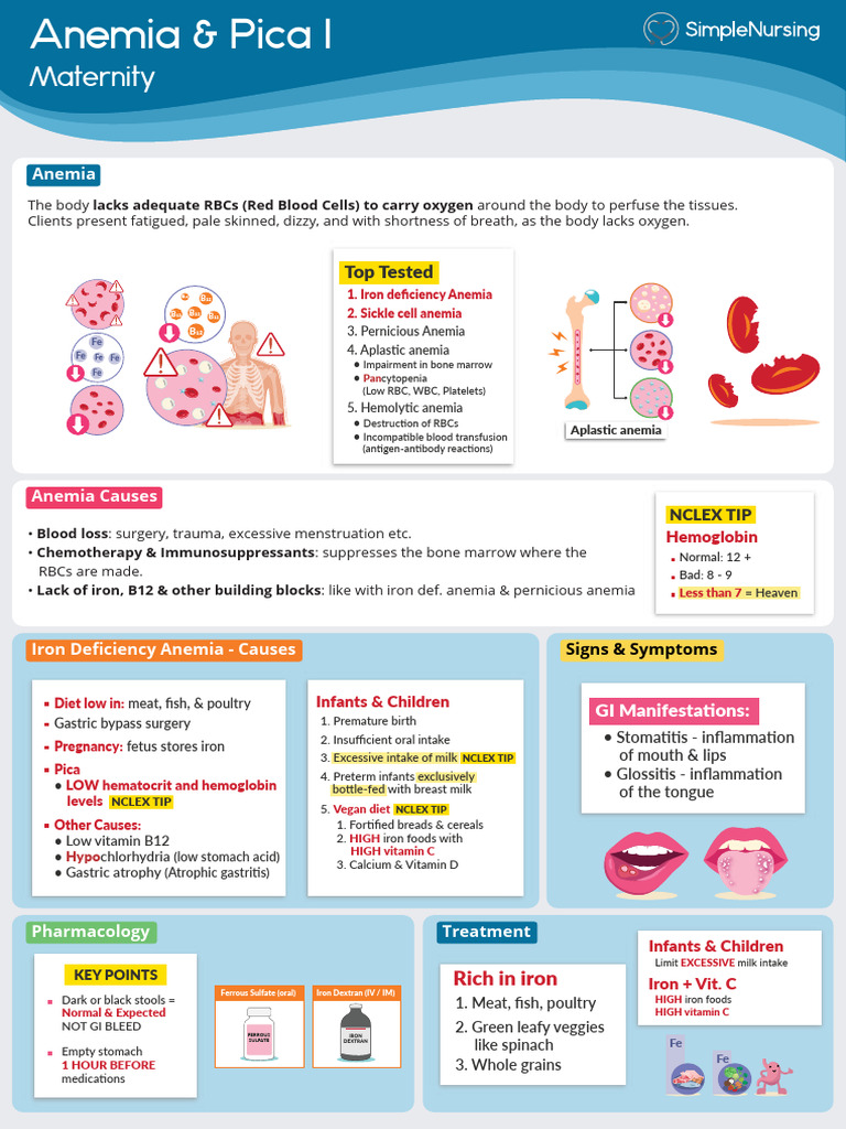 Mother Baby | PDF | Anemia | Vitamin B12
