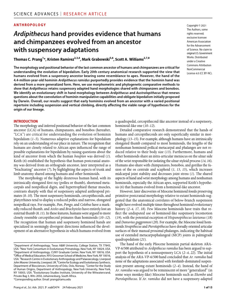 Ardipithecus Hand Provides Evidence That Humans and Chimpanzees Evolved ...