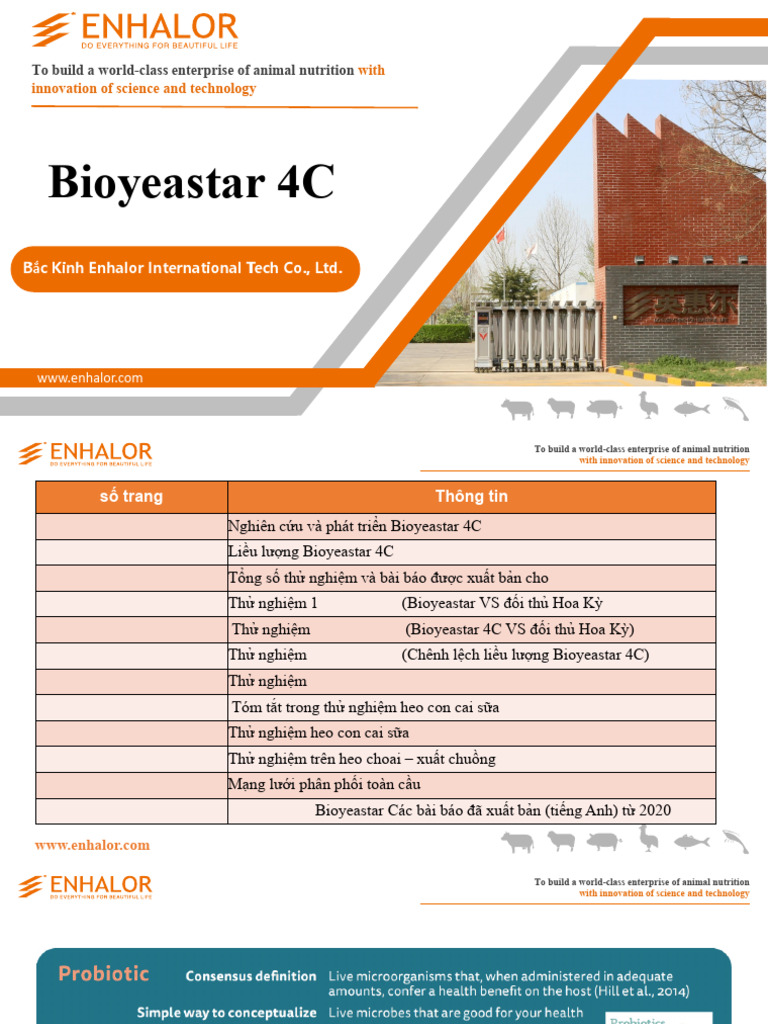 Bioyeastar 4c Adk Postbiotics | PDF