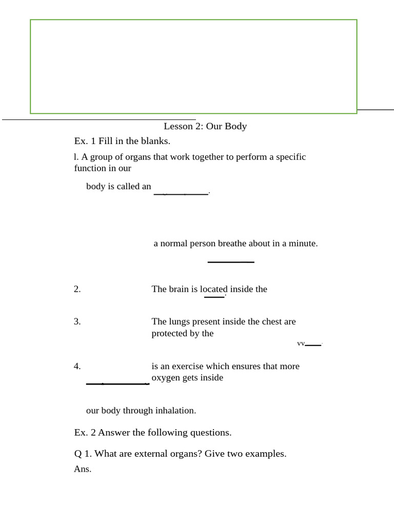 Grade 3 - Science - Our Body | PDF | Respiratory System | Lung