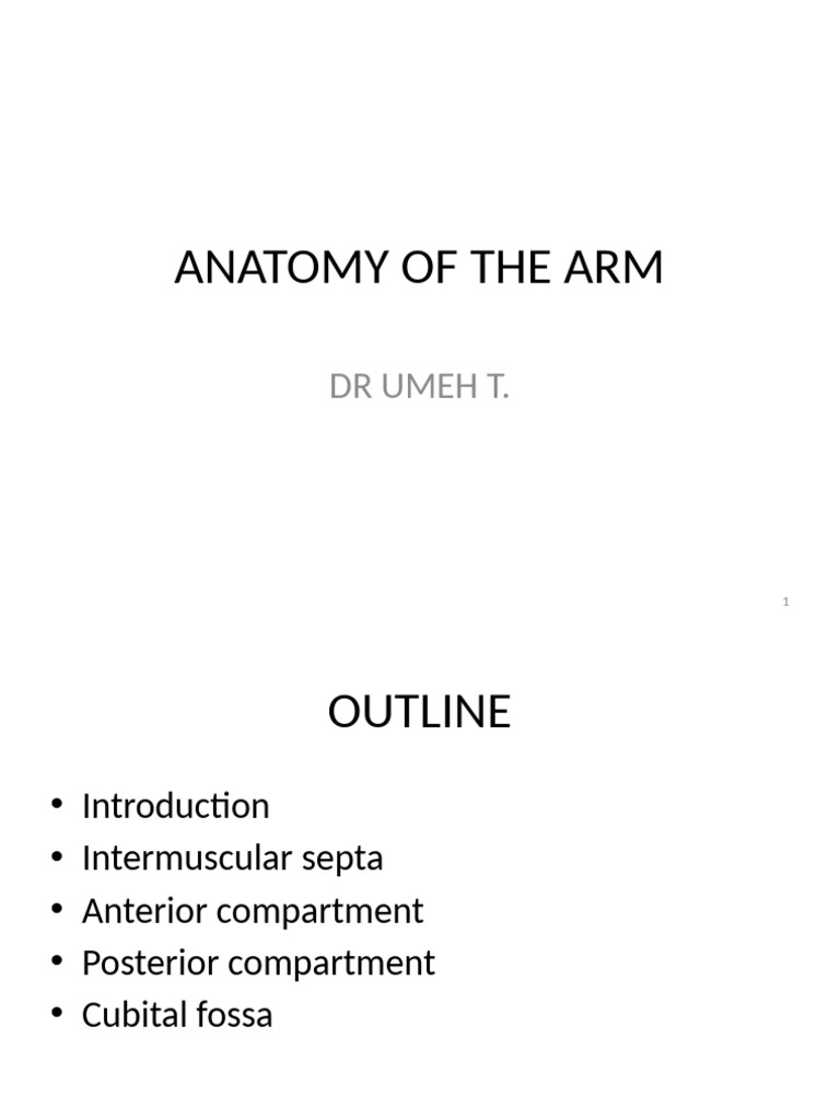 Arm Anatomy: Key Structures & Functions | PDF | Arm | Elbow