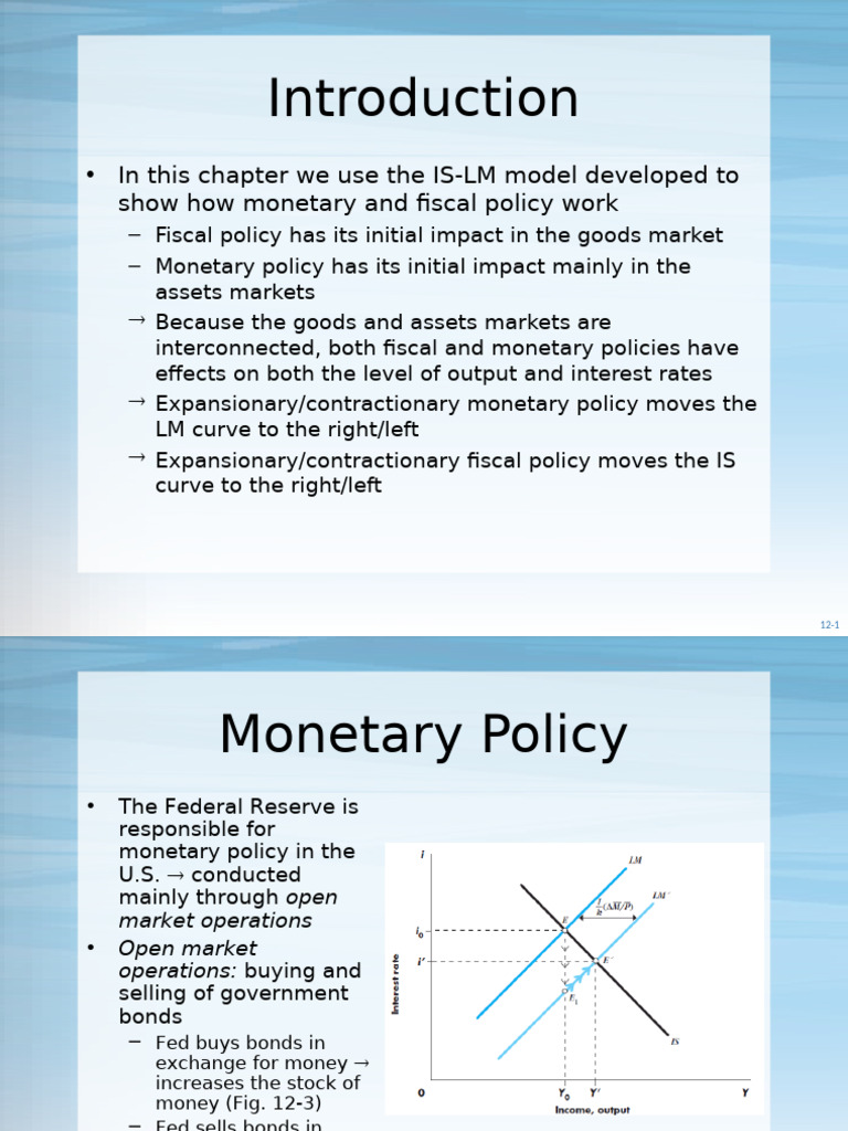 Economic Policy Analysis | PDF | Fiscal Policy | Monetary Policy