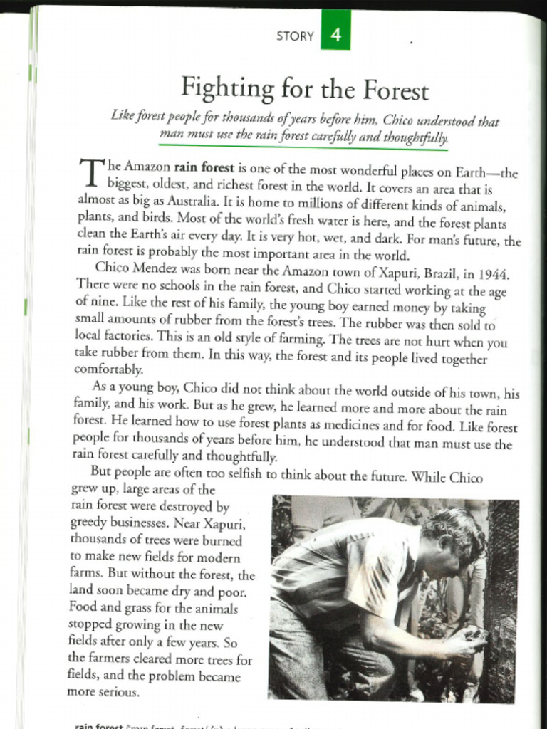 4+Stories+of+Courage Story+4 Fighting+for+the+Forest | PDF