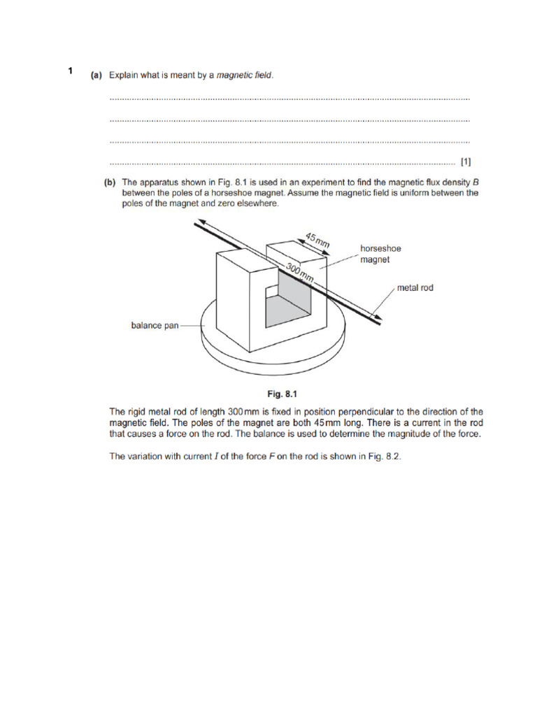Worksheet Magnetic Fields | PDF