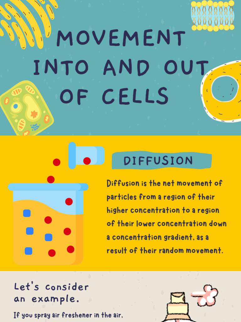 Movement Into and Out of Cells | PDF | Osmosis | Diffusion