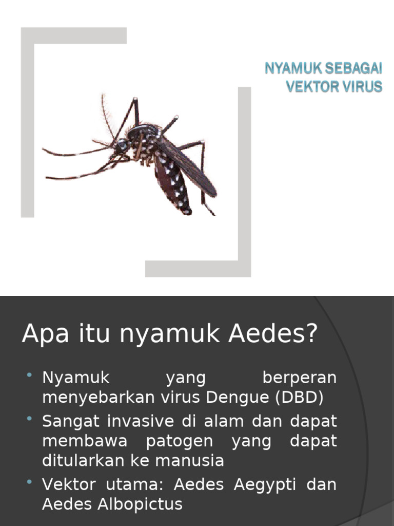 04. Nyamuk sebagai vektor virus | PDF