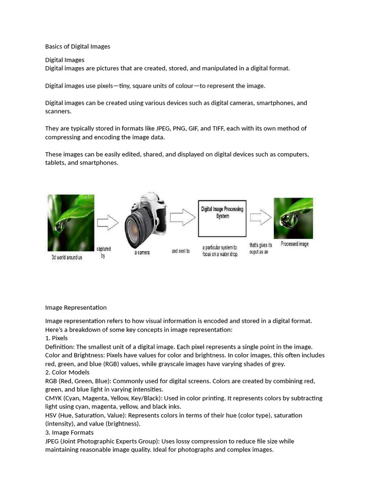 Basics of Digital Images | PDF | Image Scanner | Sampling (Signal ...
