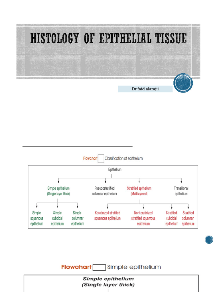 epithelial tissue histology | PDF