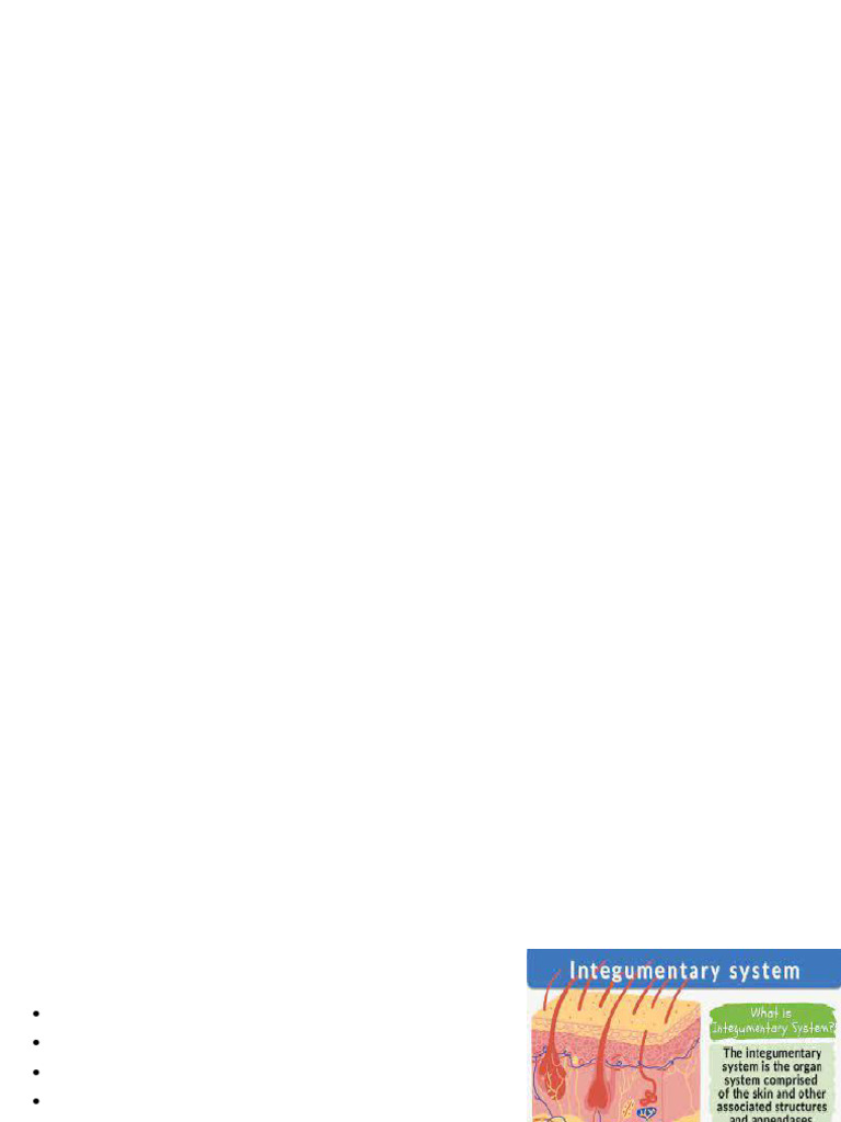 Overview of Human Organ Systems | PDF