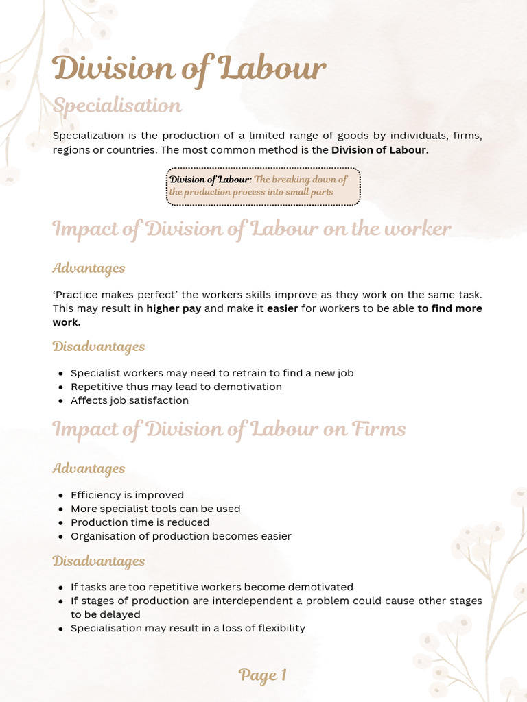 Division of Labour: Specialisation | PDF