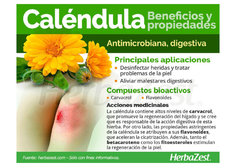 Calendula Beneficios y Propiedades 838038 Section | PDF