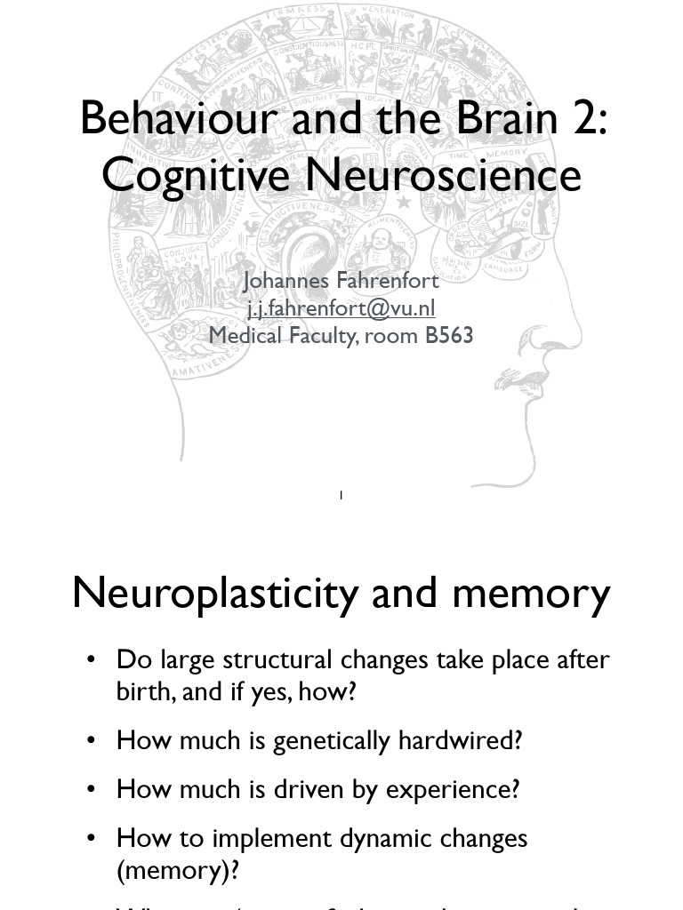 Lecture 7-Plasticity Memory | PDF | Synaptic Plasticity | Neuroplasticity