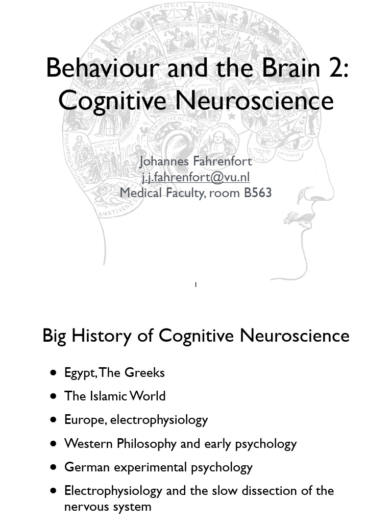 Lecture 2-History Neurons | PDF | Axon | Chemical Synapse