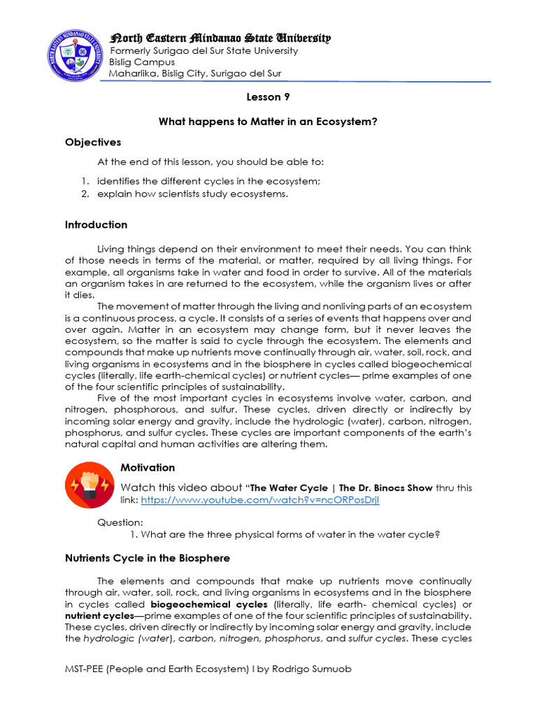 LESSON 9 What Happens To Matter in An Ecosystem | PDF | Water Cycle | Water