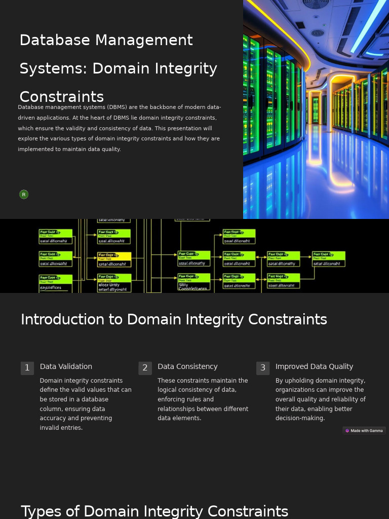 Domain Integrity Constraints | PDF | Databases | Data Type