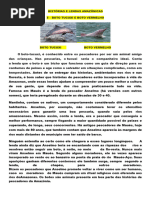 A Lenda Do Boto | PDF