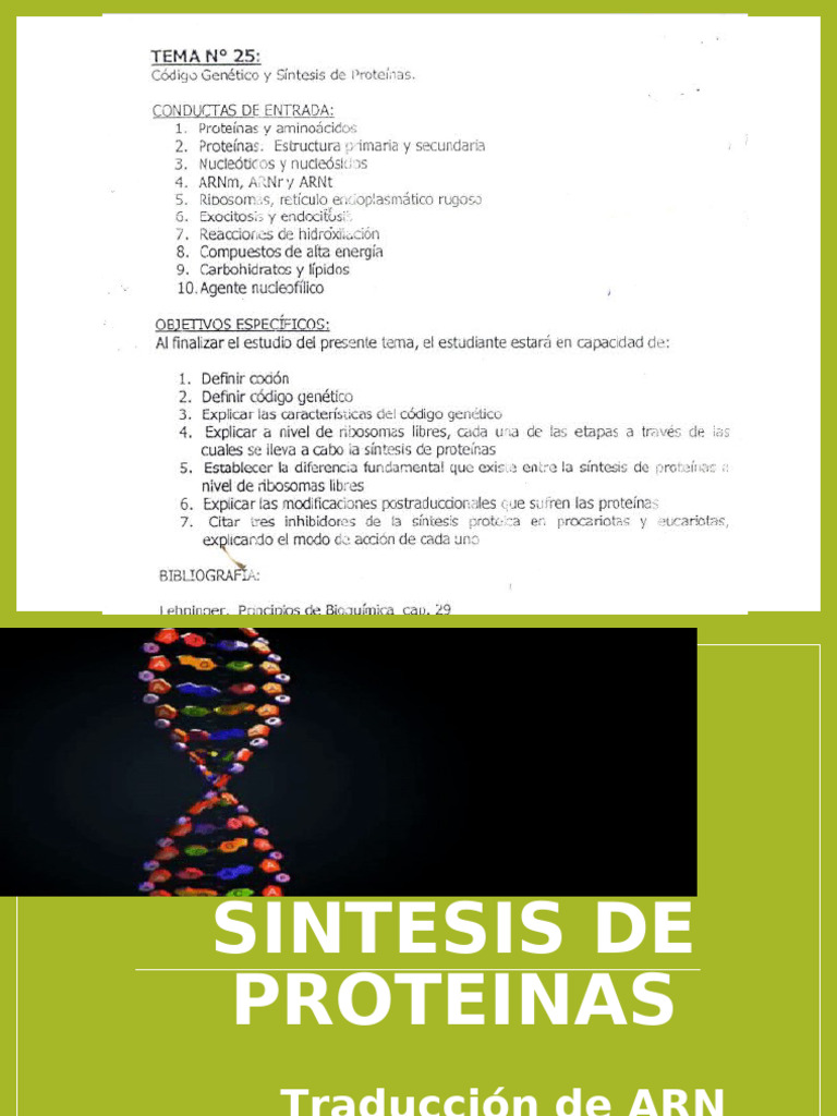 Sintesis de Proteinas 25 | PDF | Codigo genetico | Traducción (biología)