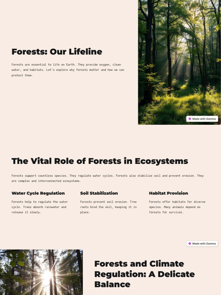 Forests Our Lifeline (2) | PDF | Deforestation | Forests