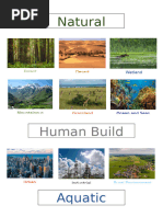 Understanding Man-Made Environments | PDF | Natural Environment ...