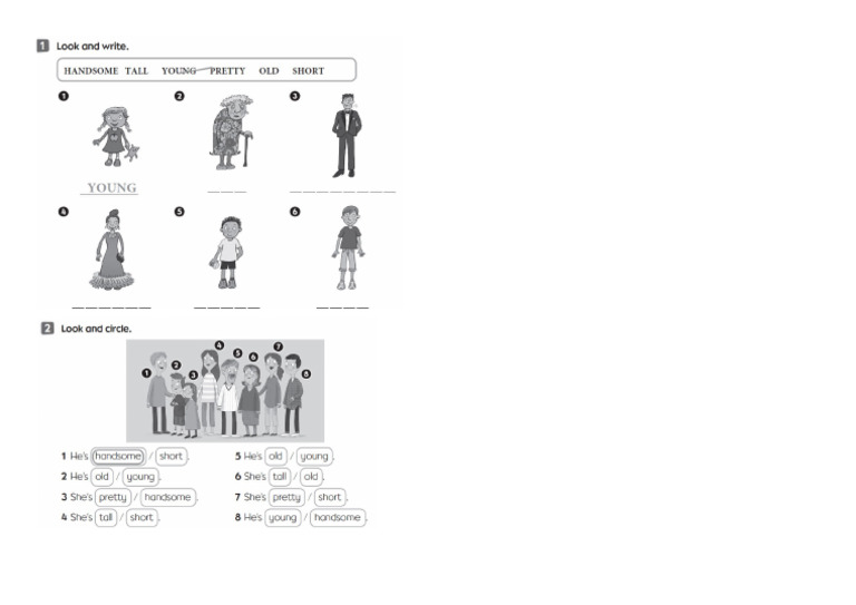 Adjectives of Appearance Reinforcement Worksheet | PDF
