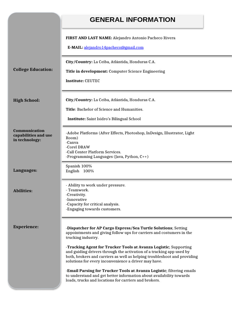 Alejandro Pacheco CV English | PDF