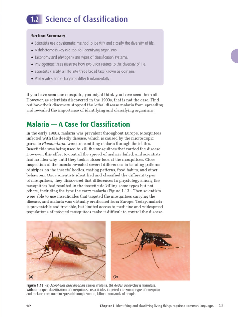 diversity chapter 1 textbook p2 | PDF | Cell (Biology) | Eukaryotes