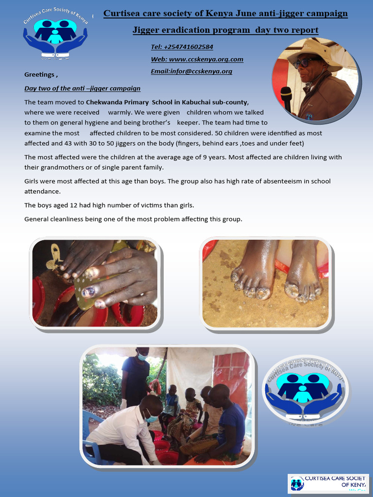 Anti-Jigger Campaign Day 2 Report | PDF