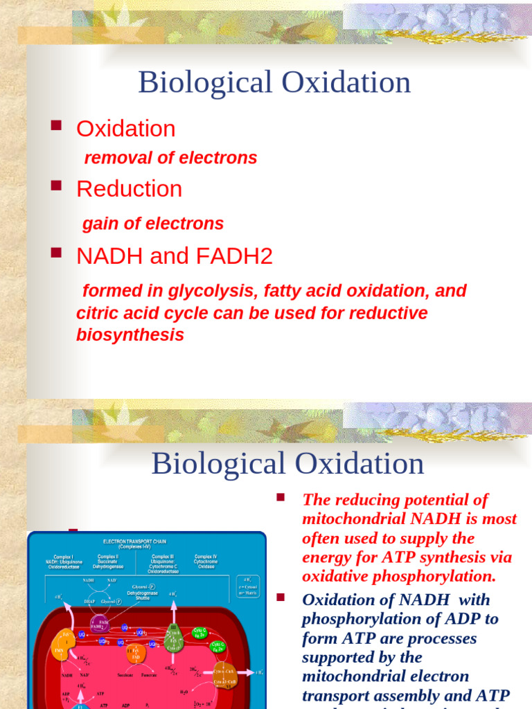 Understanding Biological Oxidation Processes | PDF | Redox | Adenosine ...