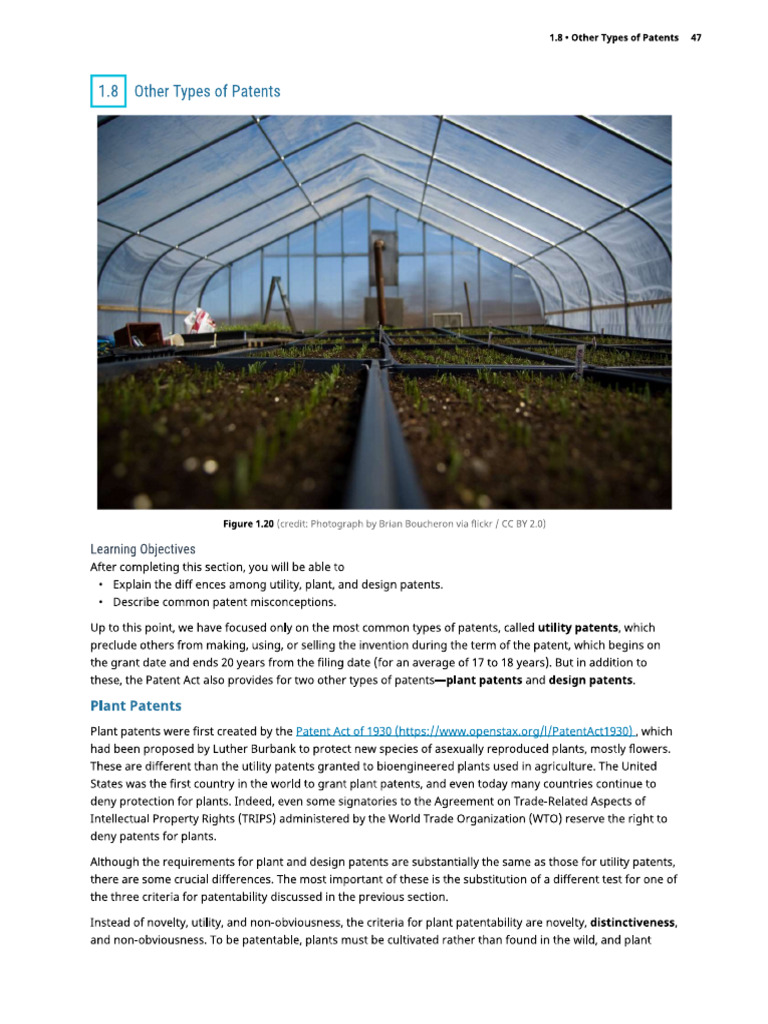 Patent Basics - Other Types of Patents | PDF