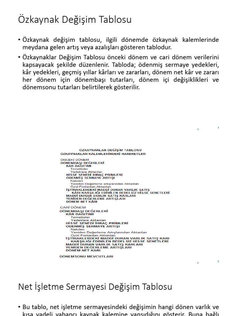 Özkaynak Değişim Tablosu | PDF