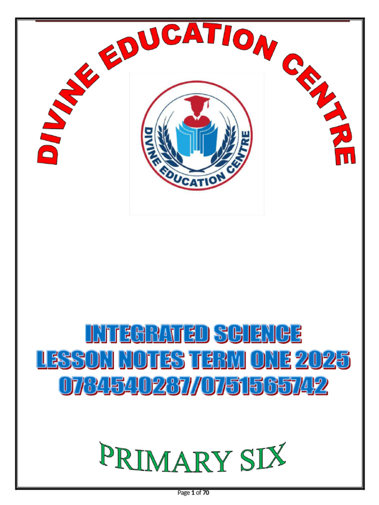 p.6 Science Lesson Notesn Term 1 2025 | PDF | Amphibian | Frog
