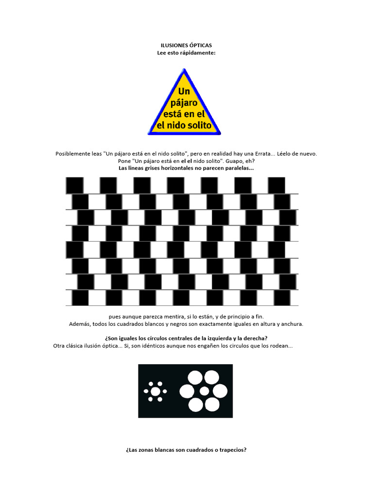 Ilusiones_Opticas (2) | PDF