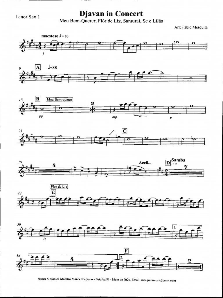 Djavan in Concert | PDF