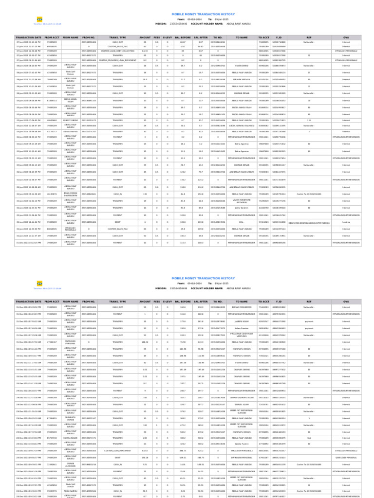 Momo Statement Report | PDF | Financial Technology | Finance & Money ...