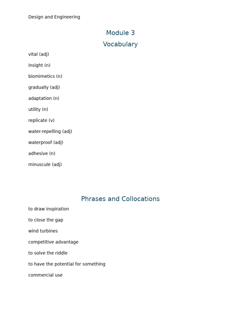 Module 3 Vocabulary | PDF